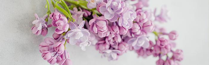 Castleman disease and differential diagnosis - Carenity